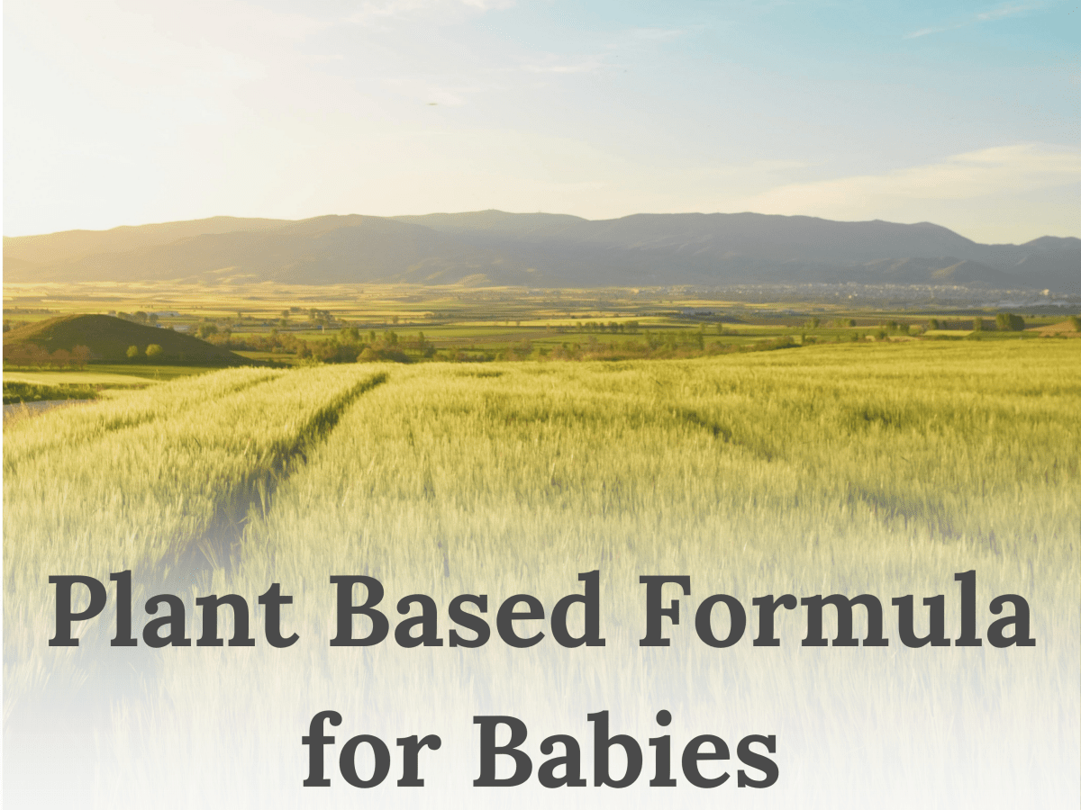 Plant Based Formula | Buy Non Dairy Formula - Formuland